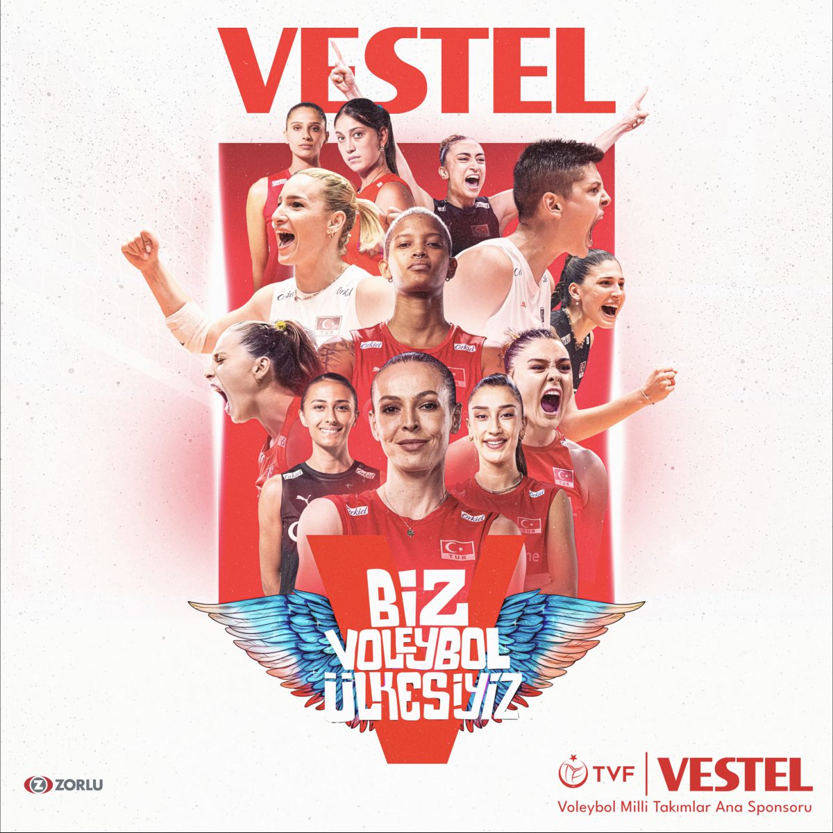 Belge, Form ve Dilekçeler - Türkiye Voleybol Federasyonu | TVF